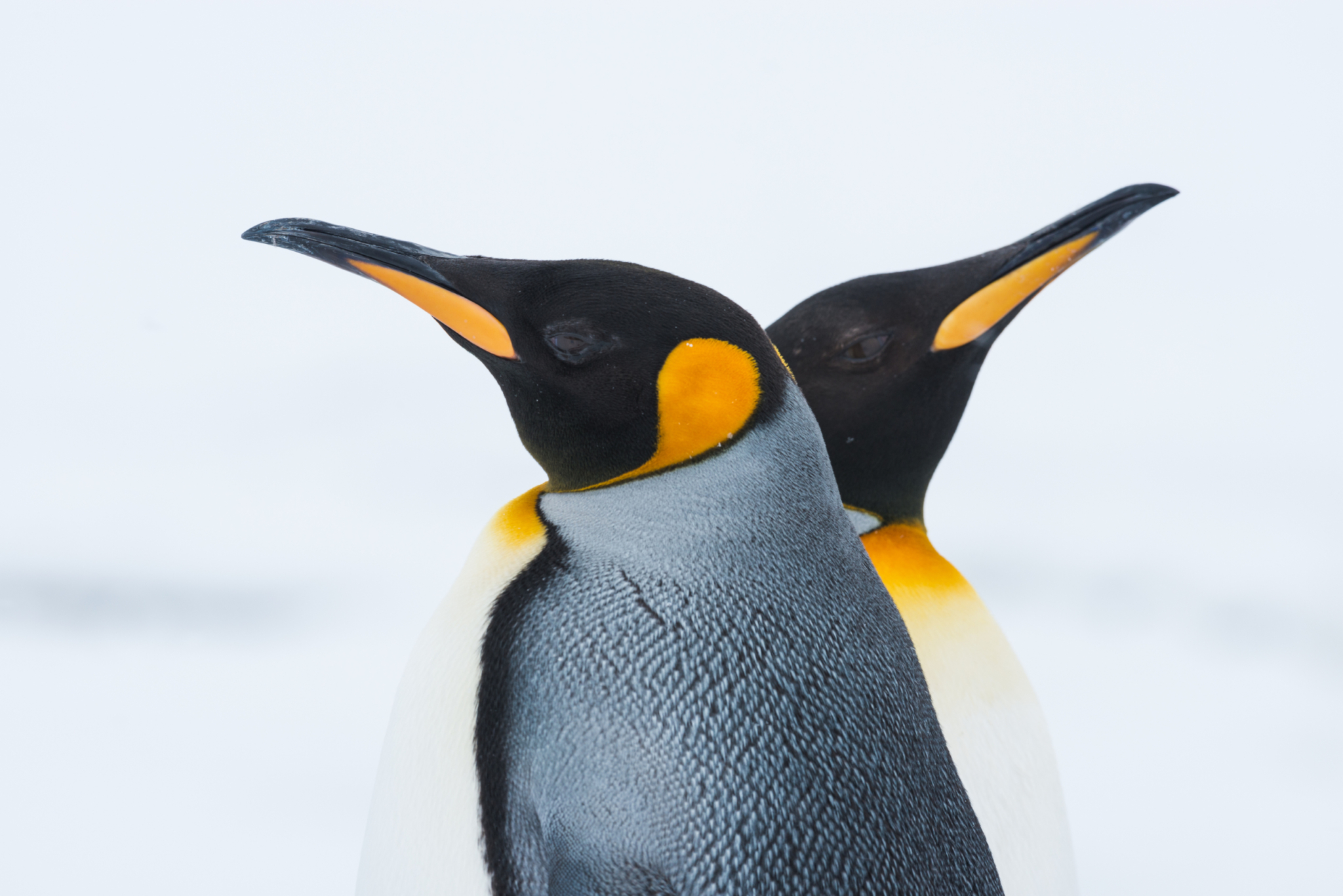 Inspiring Explorers Expeditions™ | Inspiring Explorers Expeditions™